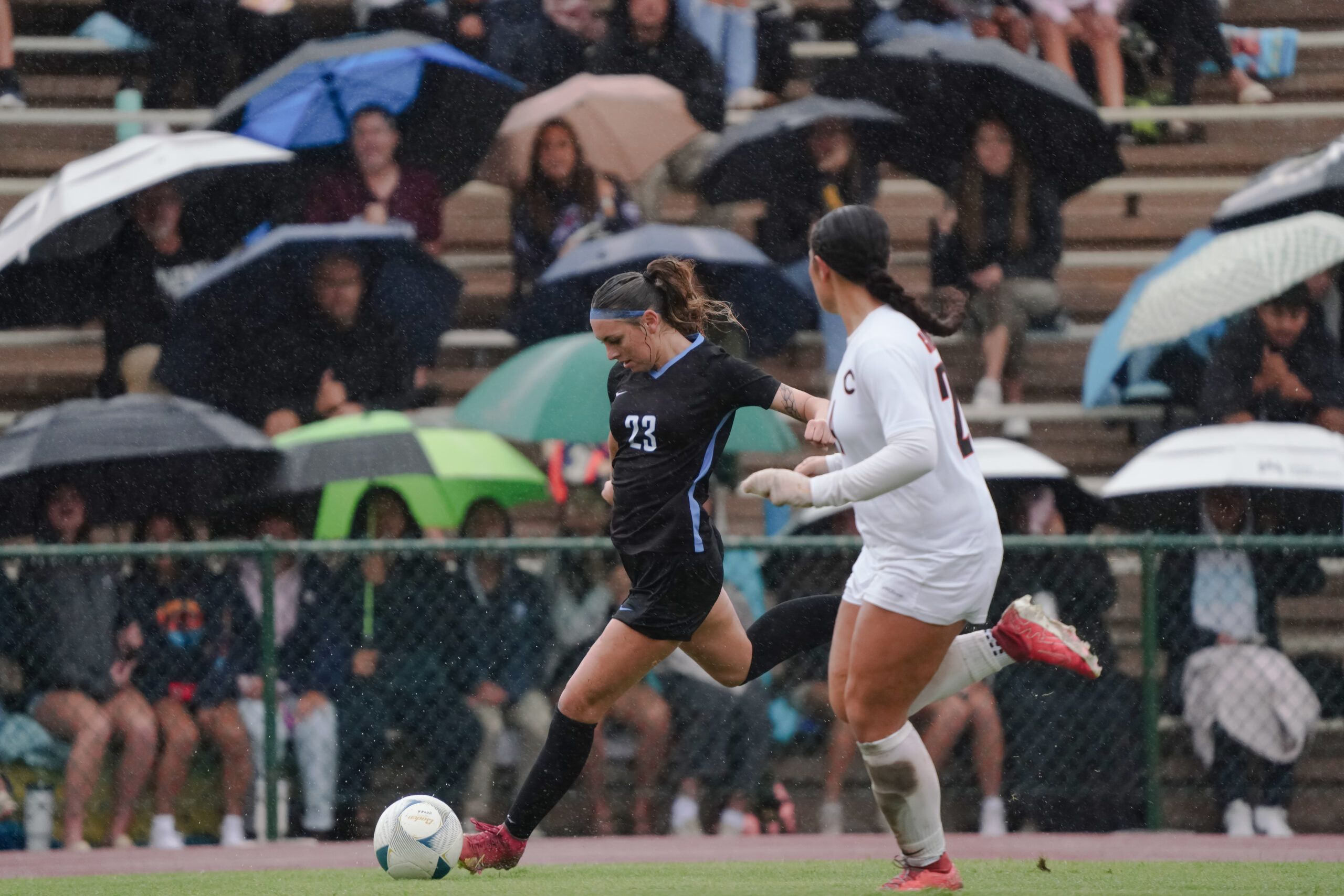 The Maui News/Eli Pace | News, Sports, Jobs - Maui News